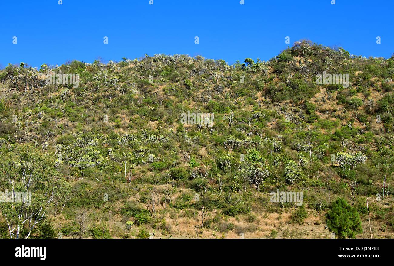 Mountain dry slopes and valleys in the Siwalik mountains, Pre-Himalayas ...