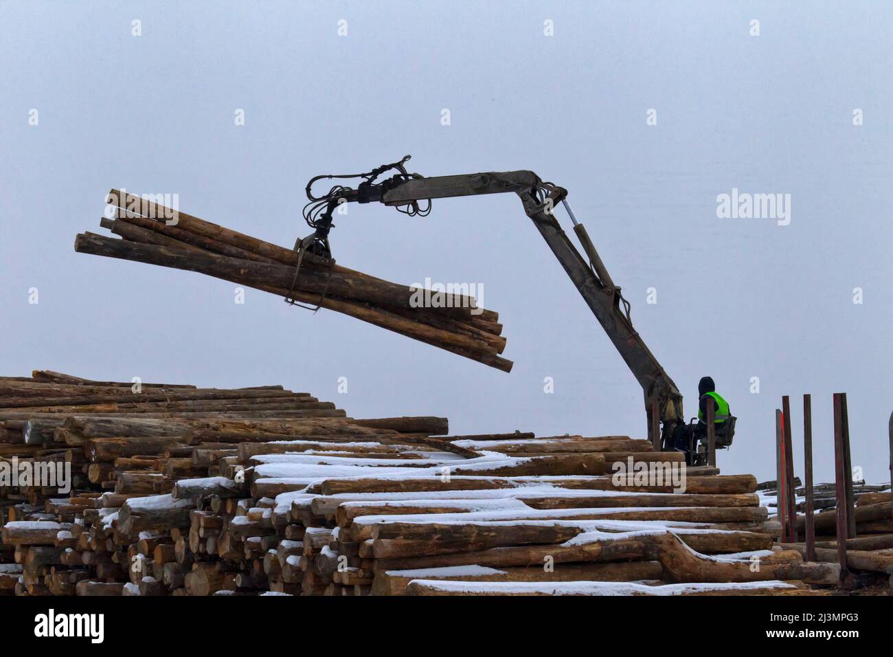 Forest industry. Operations for loading-unloading logging truck at ...