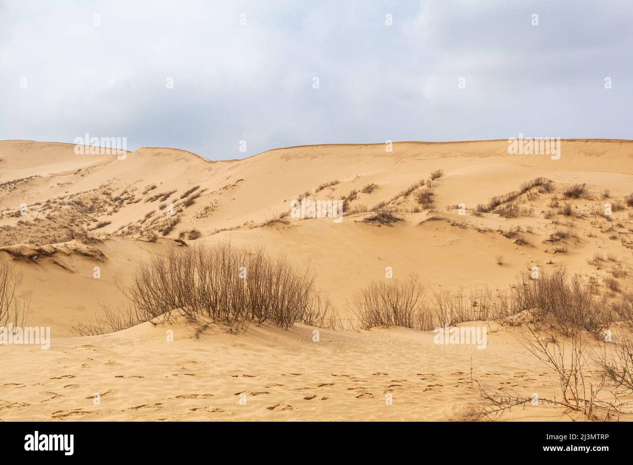 Sarykum dune. Dagestan, Russia. A unique sandy mountain in the Caucasus ...