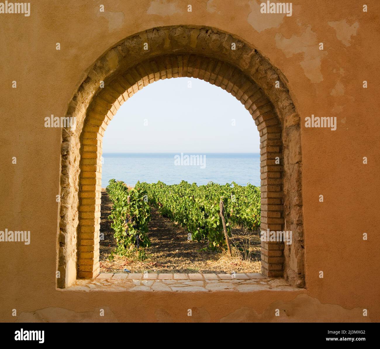 arched window on the vineyard Stock Photo - Alamy