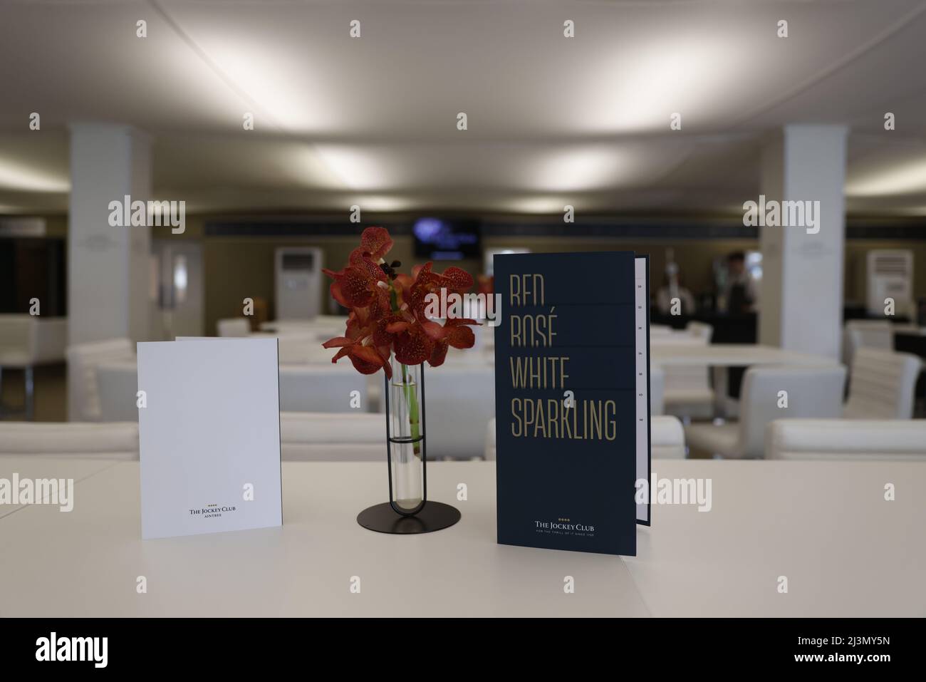 A view inside the Owners and Trainers Pavillion during Grand National ...