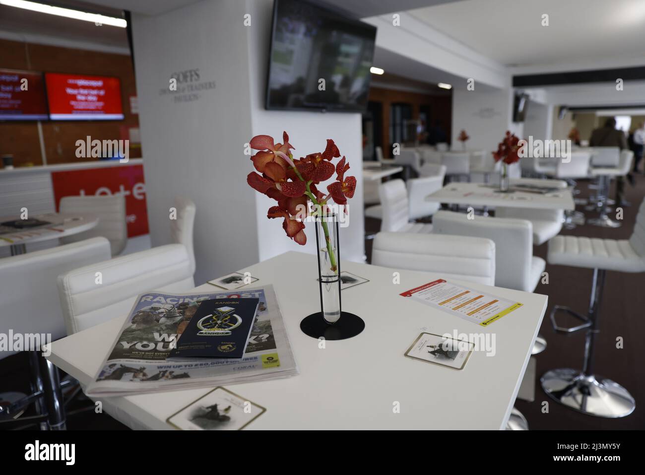 A view inside the Owners and Trainers Pavillion during Grand National ...