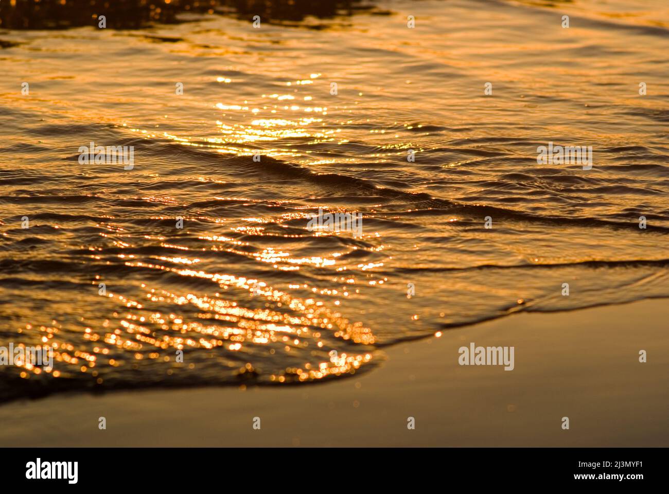 Golden sparkling water sea hi-res stock photography and images - Alamy