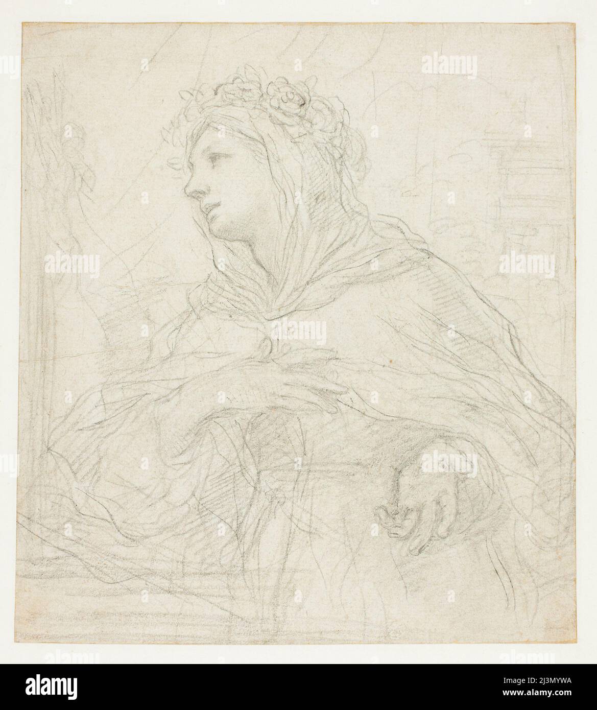 Rosalia drawing hi-res stock photography and images - Alamy