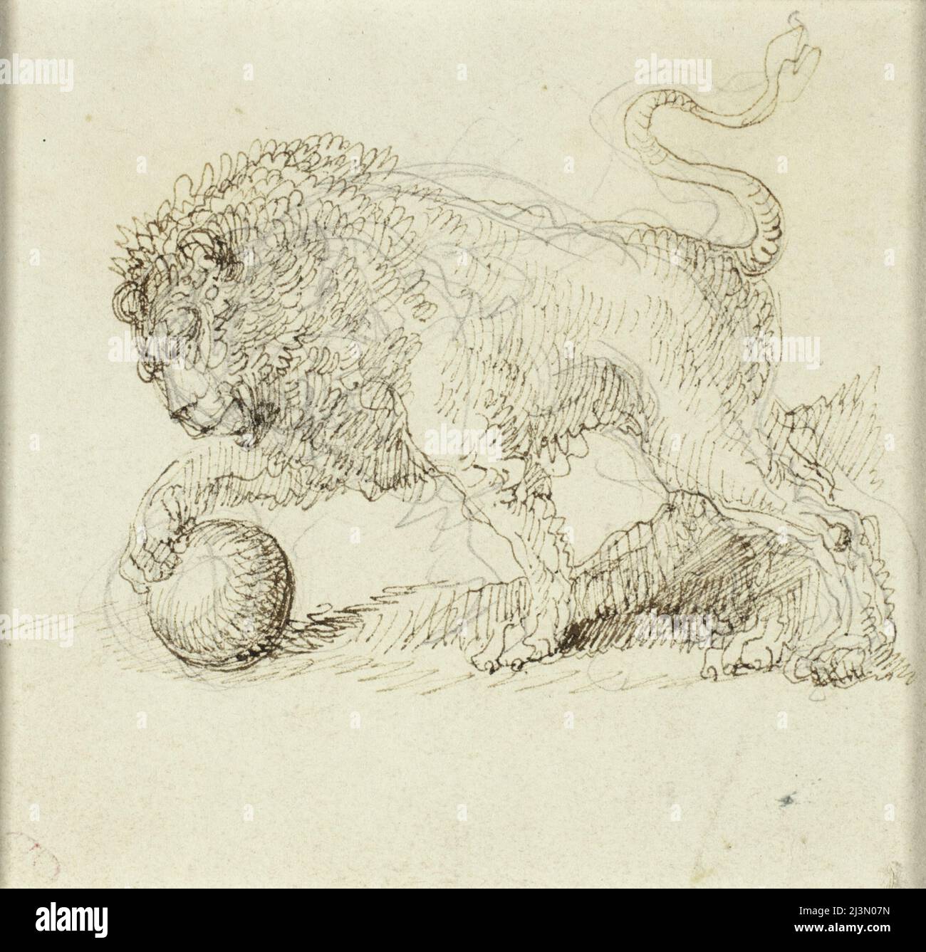 Lion with Ball, n.d Stock Photo - Alamy