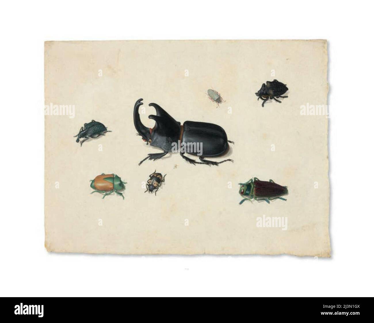 Six on the other Cut Out Stock Images & Pictures - Alamy