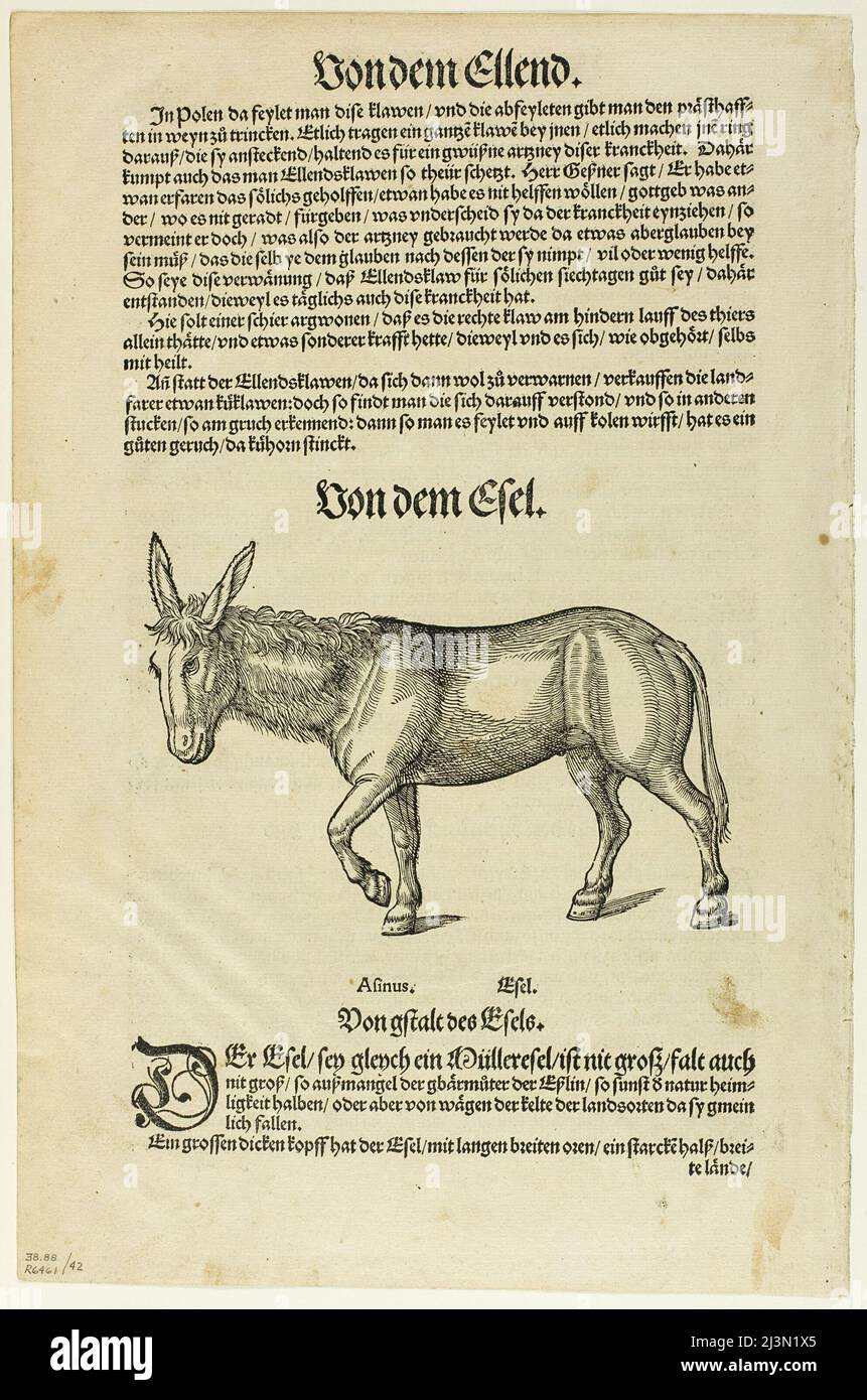 Illustration from "Thierbuch", plate 42 from Woodcuts from Books of the ...