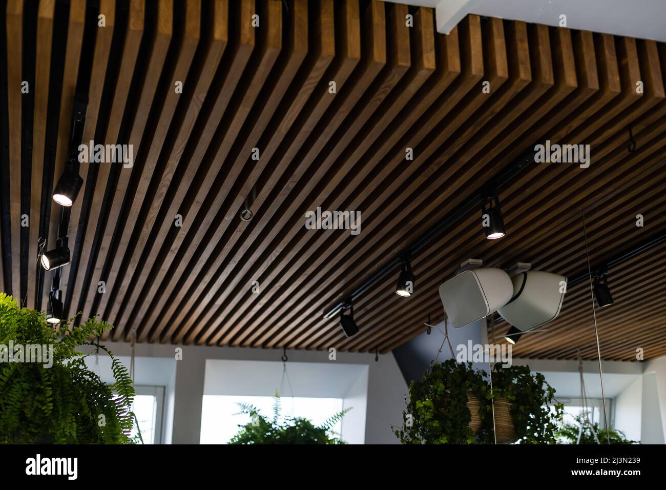 Light bulb with wooden minimal ceiling lamp design in warm green and ...