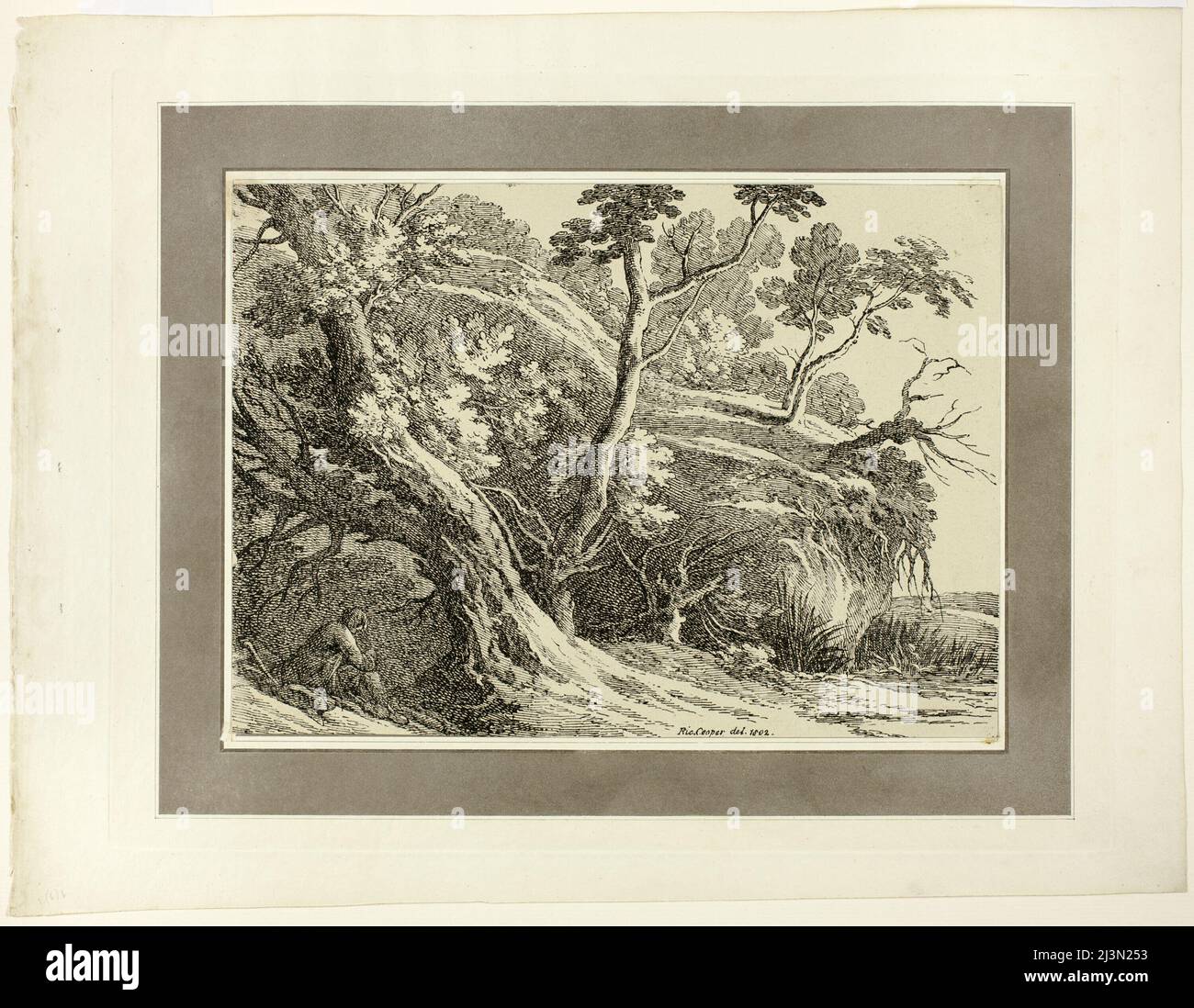 19th century drawings of tree roots hi-res stock photography and images ...