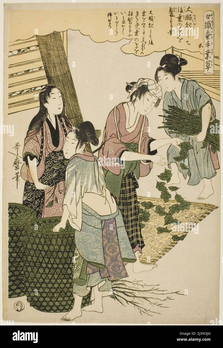 Women engaged in the sericulture industry hi-res stock photography and ...