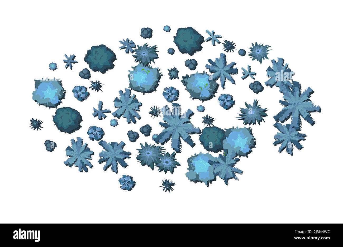 Night tropic plant landscape top view. Wild palm trees and bushes. Dark ...