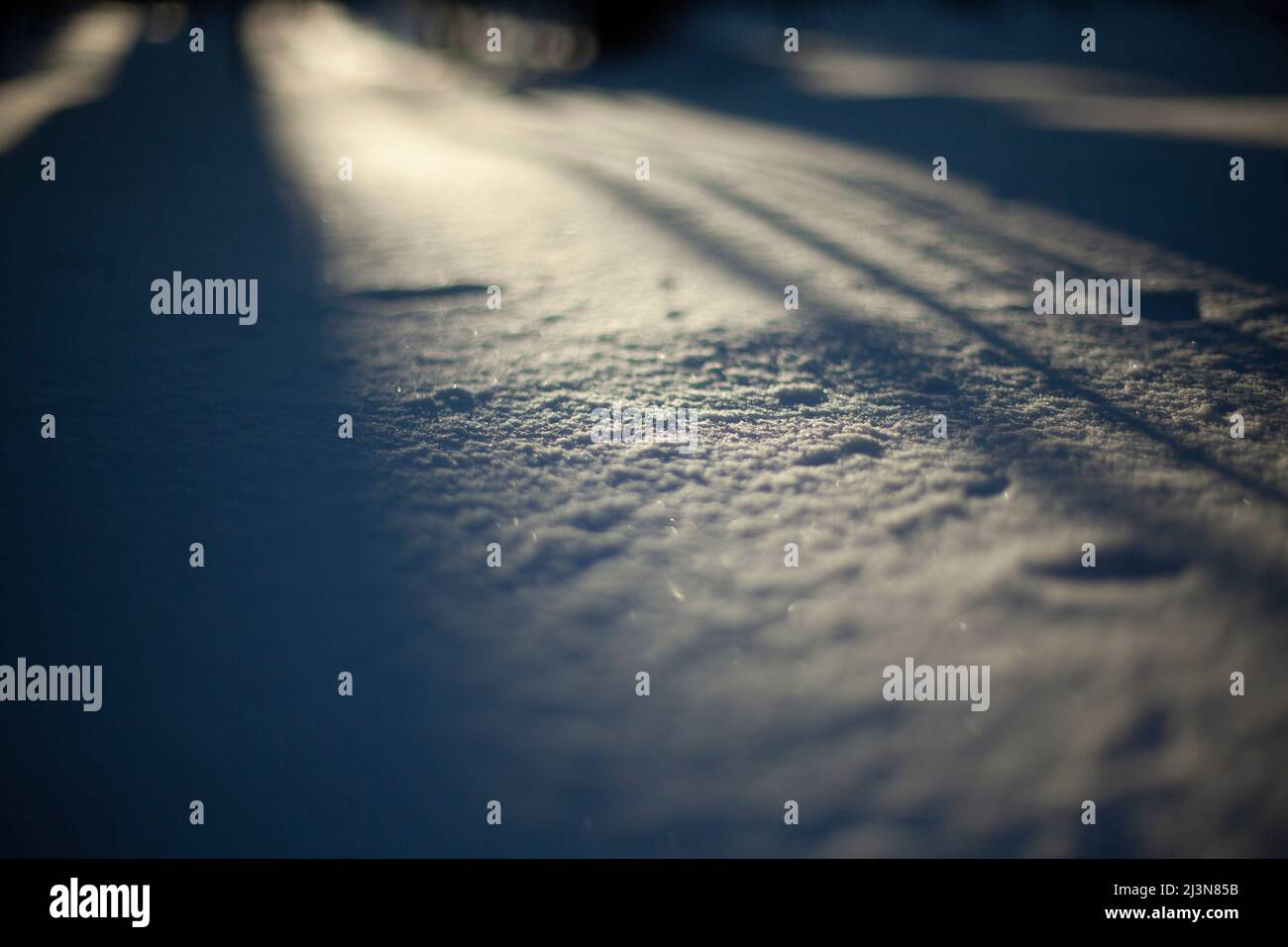 Sun in snow. Fly in woods. Snowdrift texture. Snowy winter. Details of ...