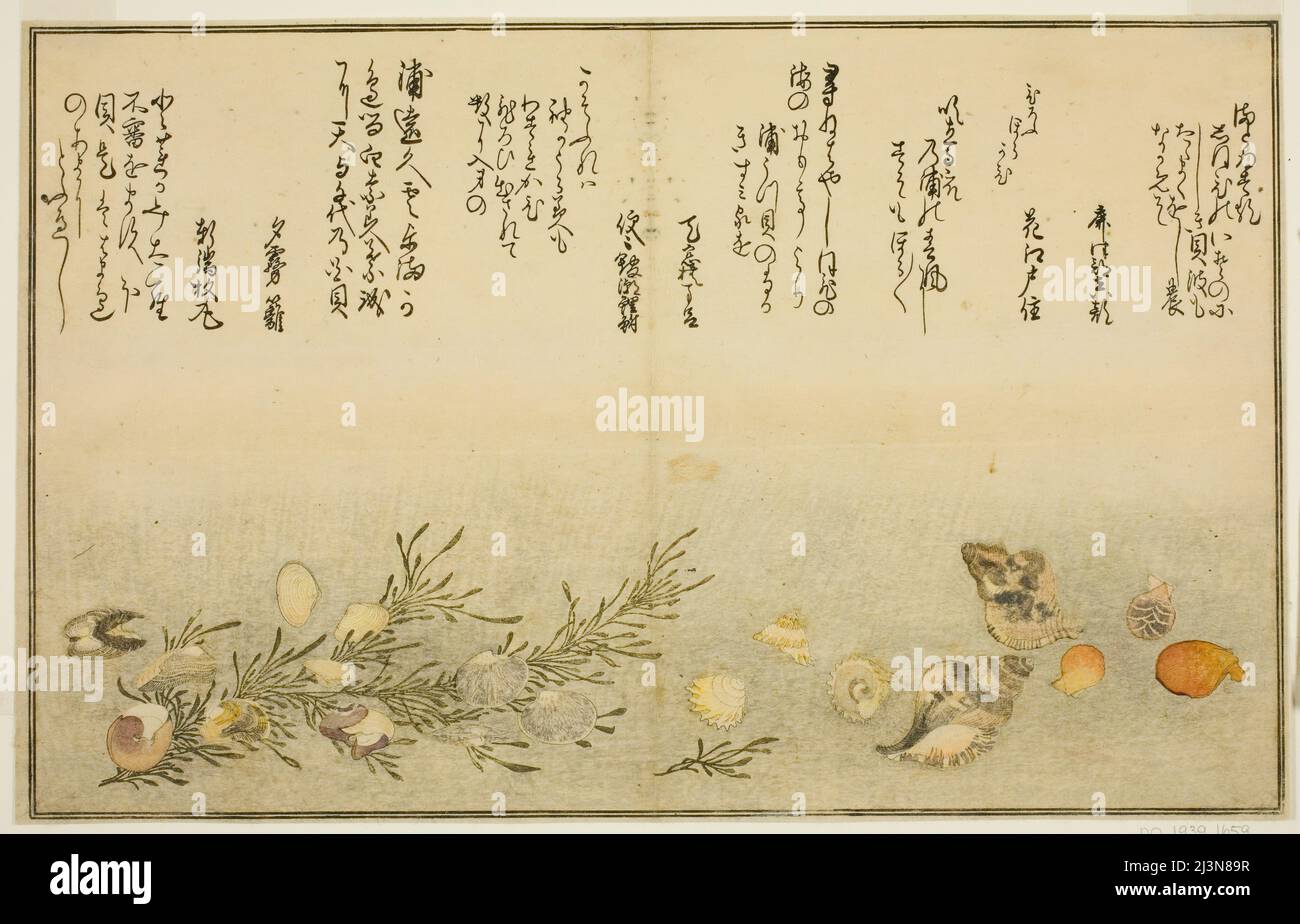 Beni-gai, hora-gai, urauzu-gai, wasure-gai, chiyonohana-gai, and masuho ...