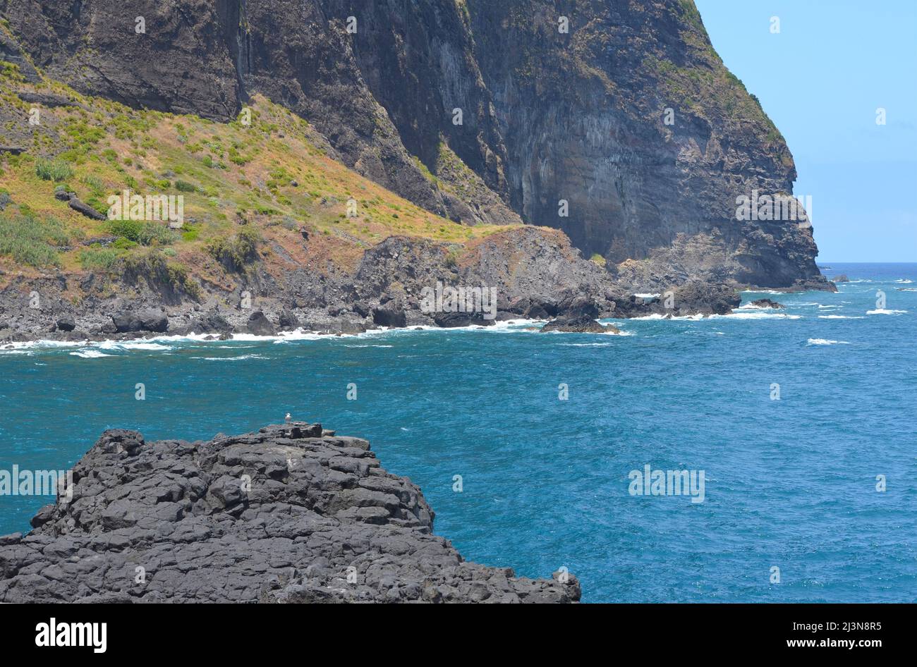 High seacliffs and spectacular coastal views in Porto da Cruz, Madeira ...