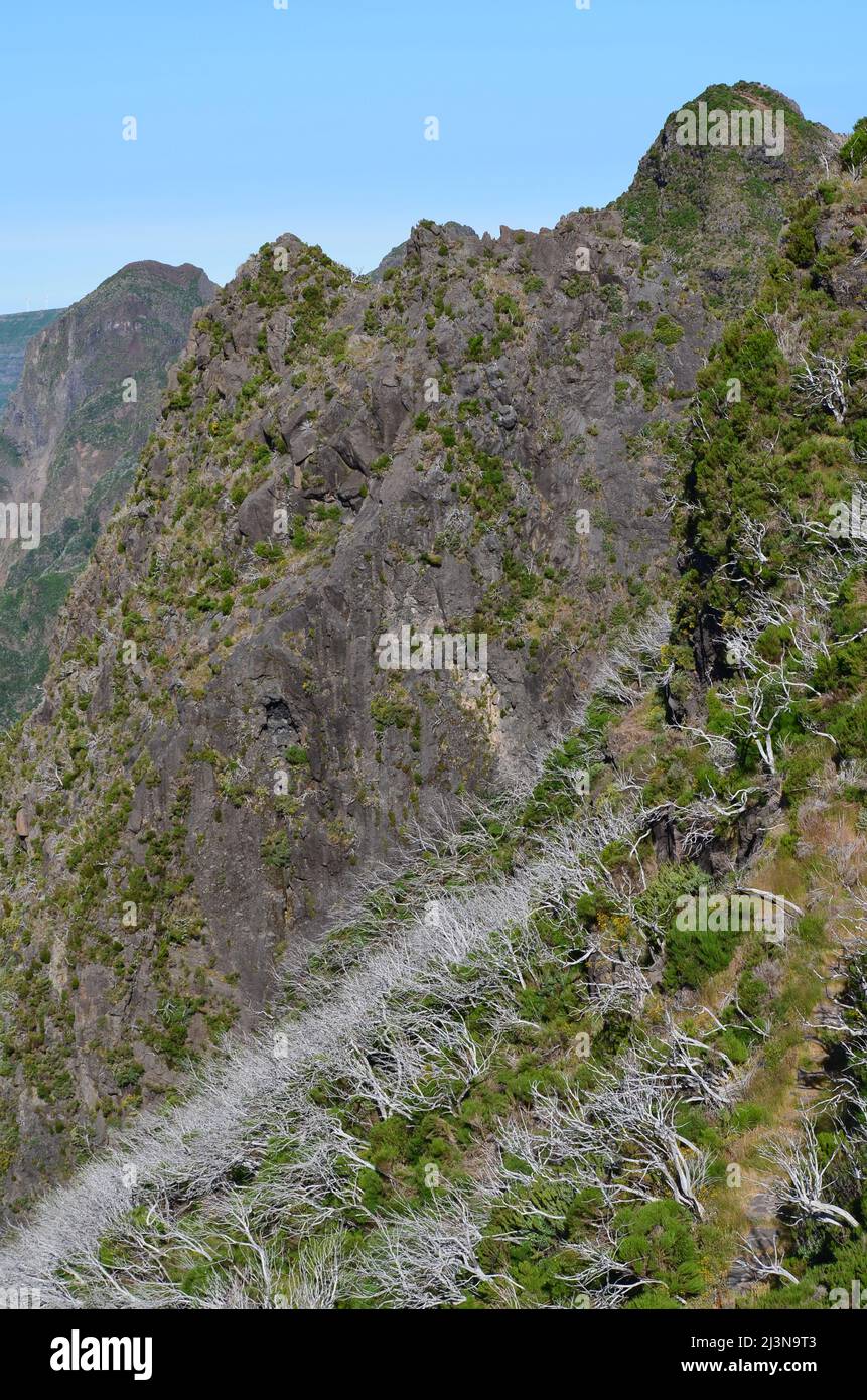 The rugged volcanic peaks of Madeira island, Portugal Stock Photo - Alamy