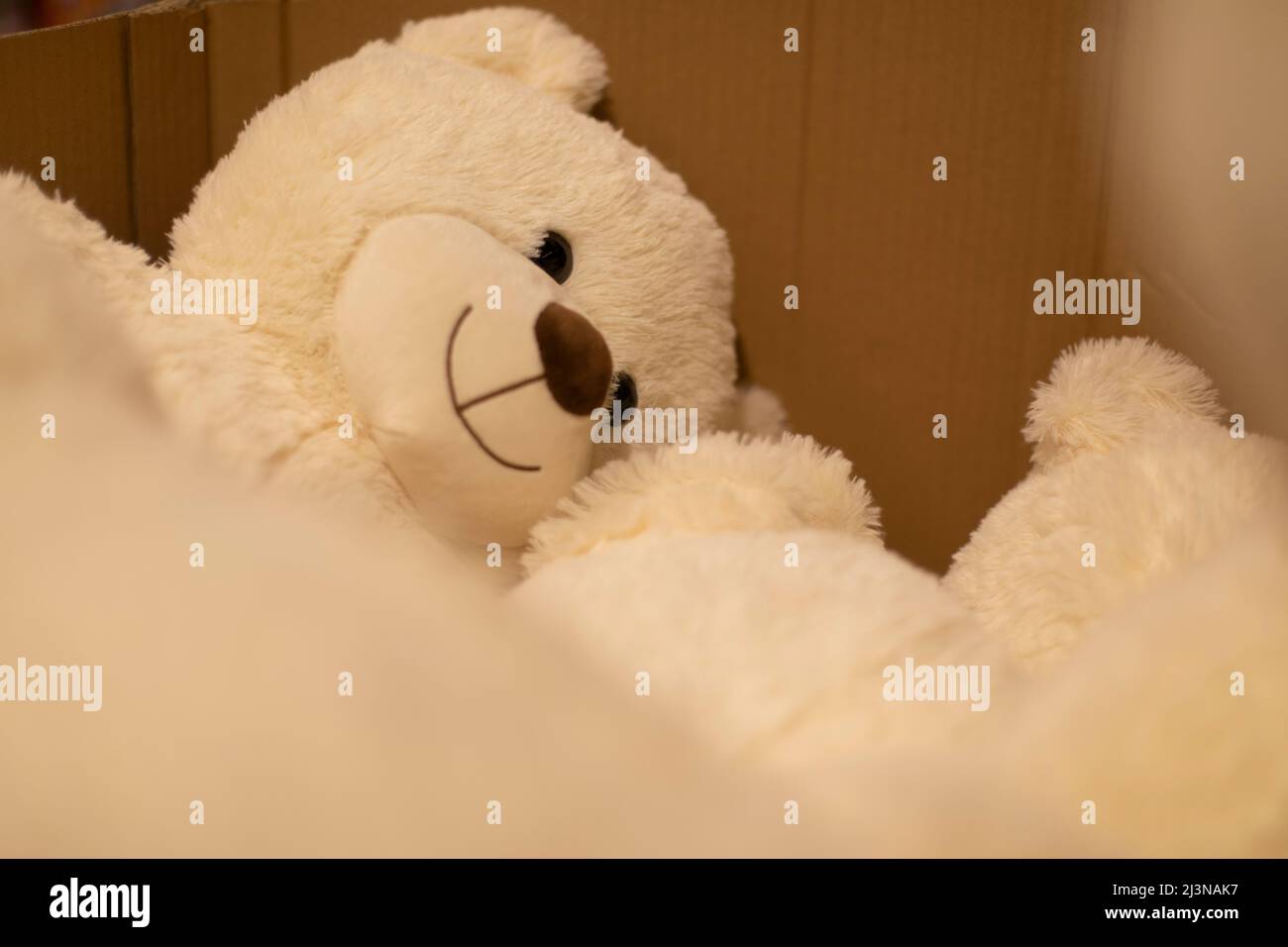 Teddy bear in cardboard box hi-res stock photography and images - Alamy