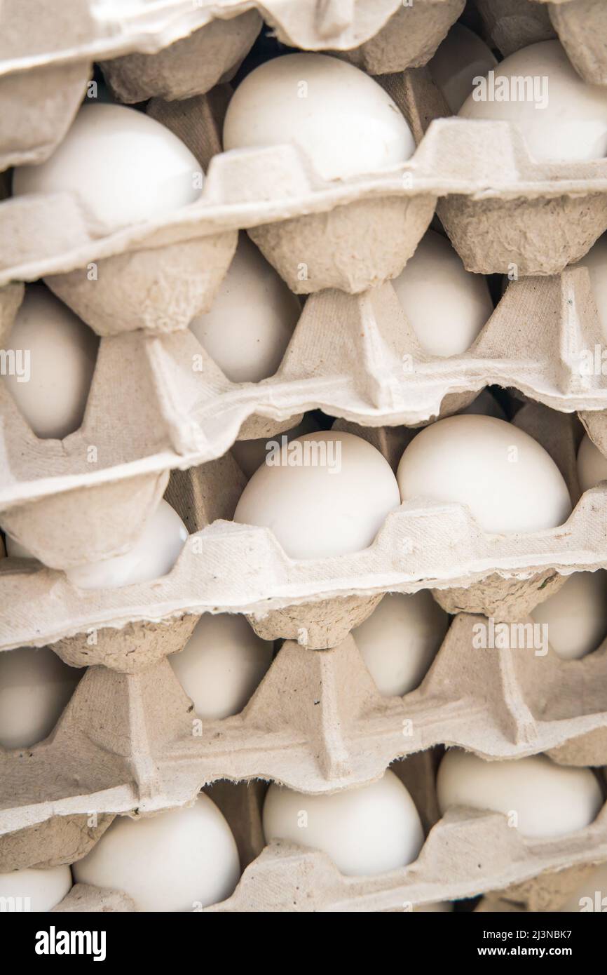 A whole pack of fresh eggs Stock Photo - Alamy