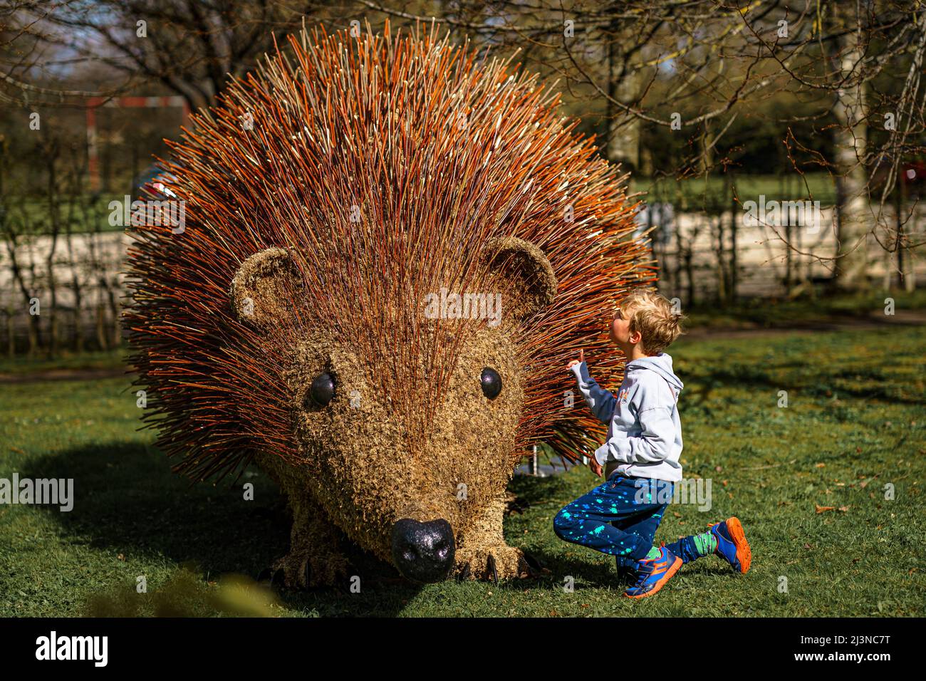Henry Carter, aged 8, inspects a hedgehog sculpture, made from natural ...