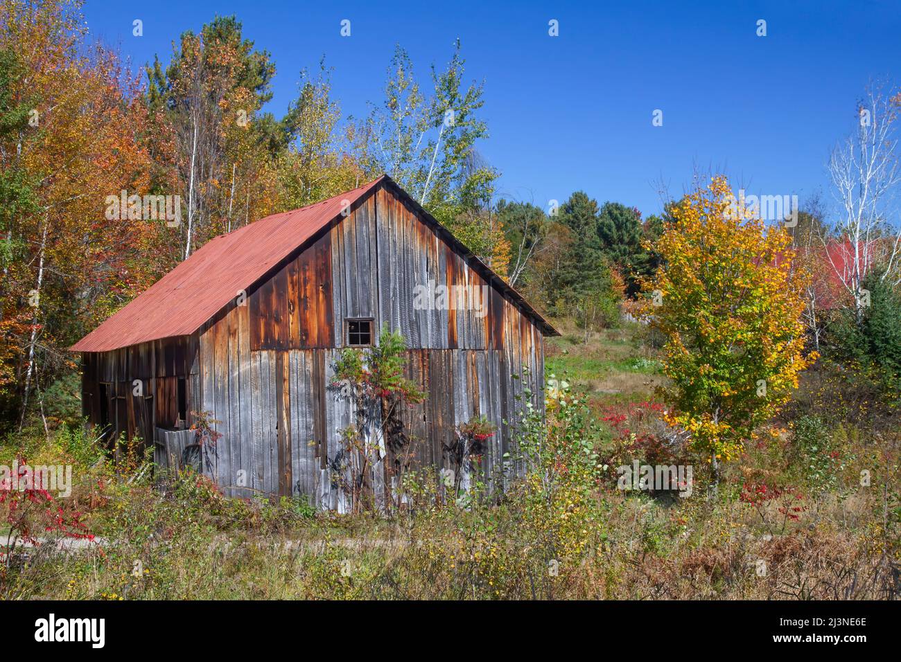 Weathered and rusted wooden shack in autumn along highway 60 near ...