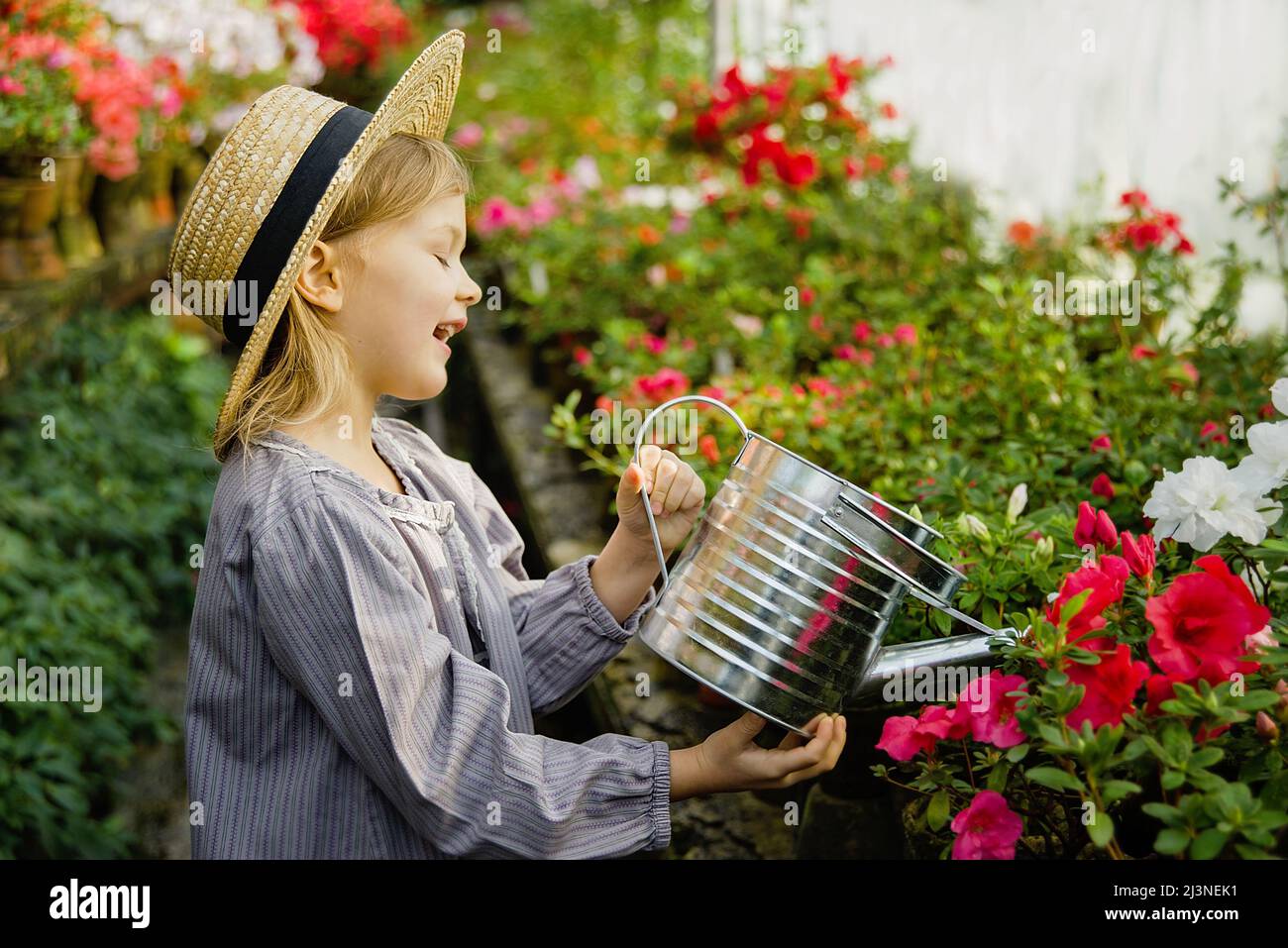 Child planting spring flowers. Little girl gardener plants azalea ...