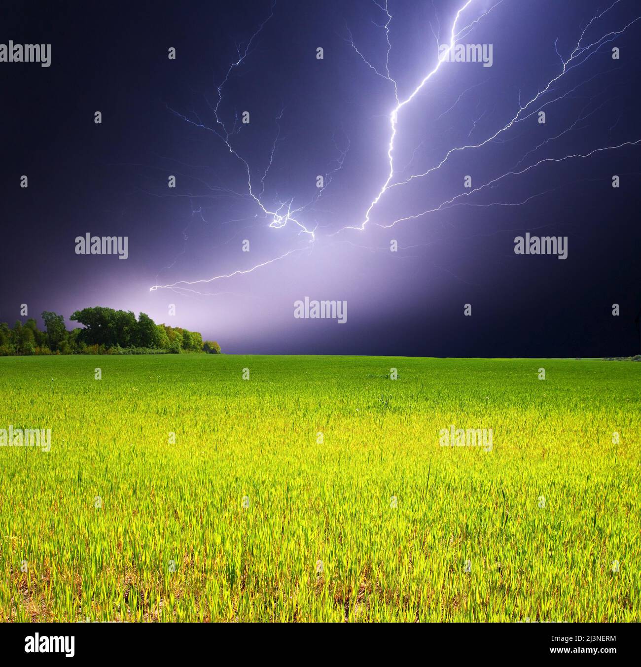 Lightning strike over a field Stock Photo - Alamy