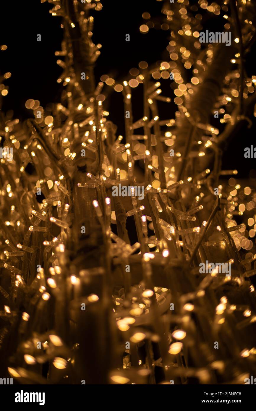 Lights in dark. Tree made of light bulbs. Christmas decorations in city ...