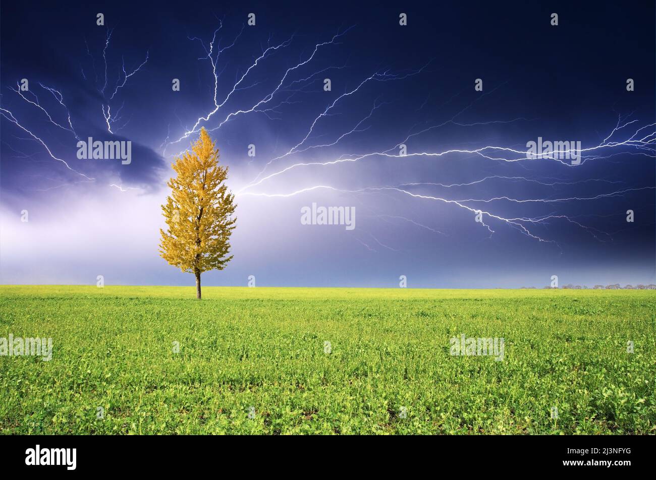 Stormy landscape with heavy clouds and the tree Stock Photo - Alamy