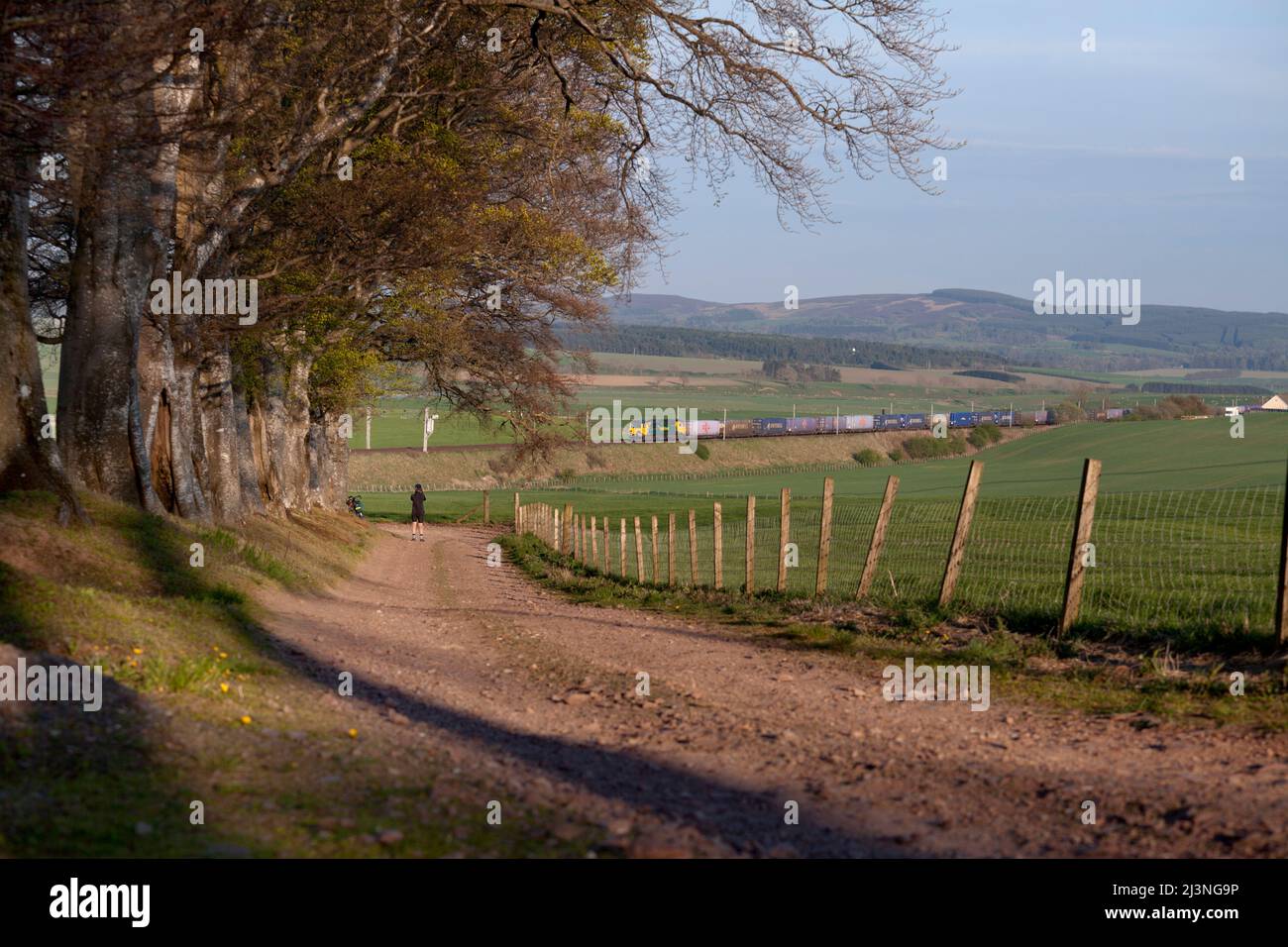 Freightliner class 70 diesel locomotive passing the Scottish ...