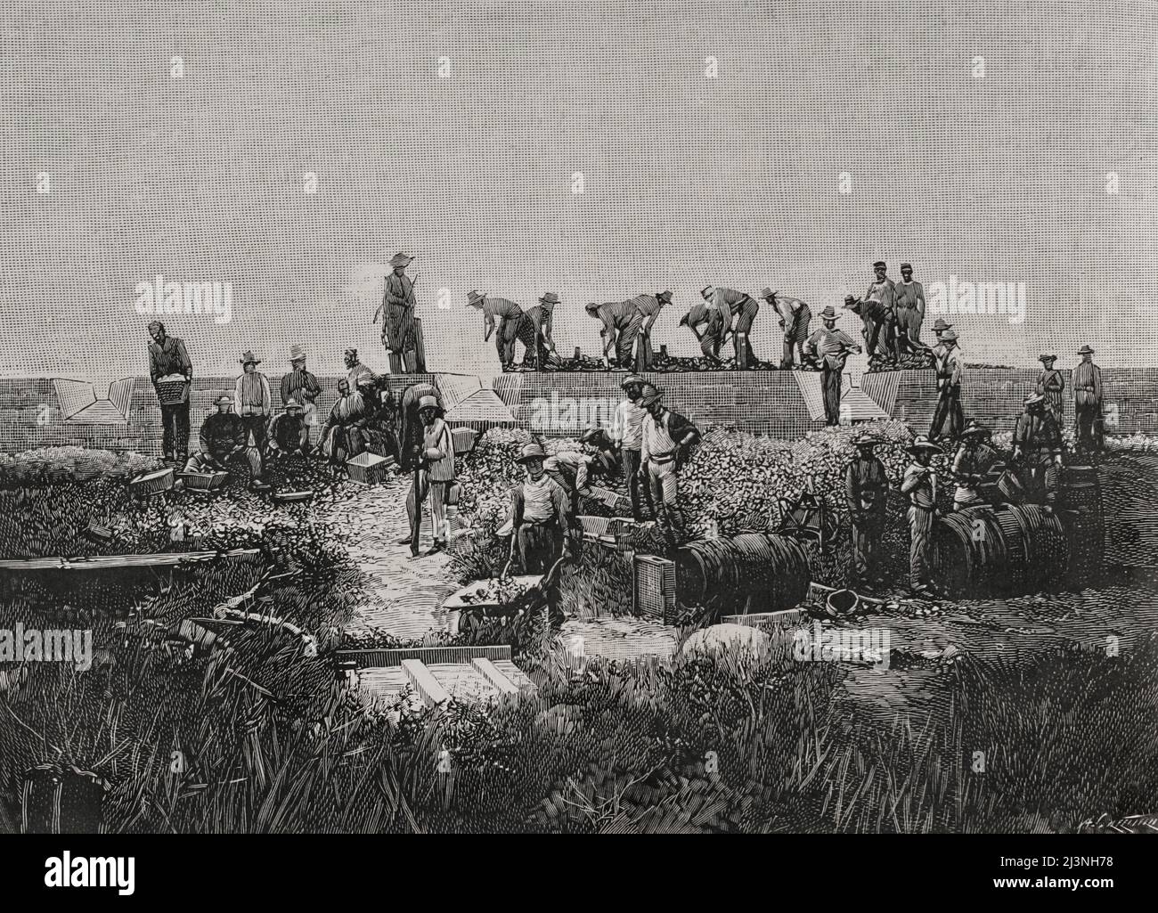Cuban War of Independence (1895-1898). Island of Cuba. Fortification ...