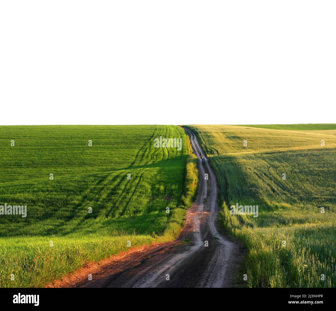 Beautiful landscape isolated on white background Stock Photo - Alamy