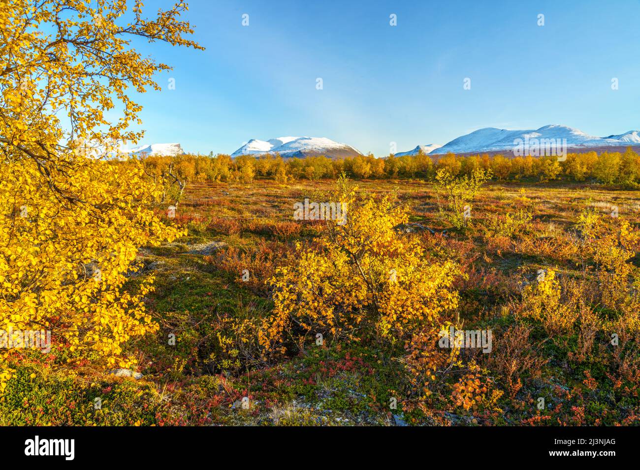 Abisko national park in september with autumn colors and Lapporten in ...