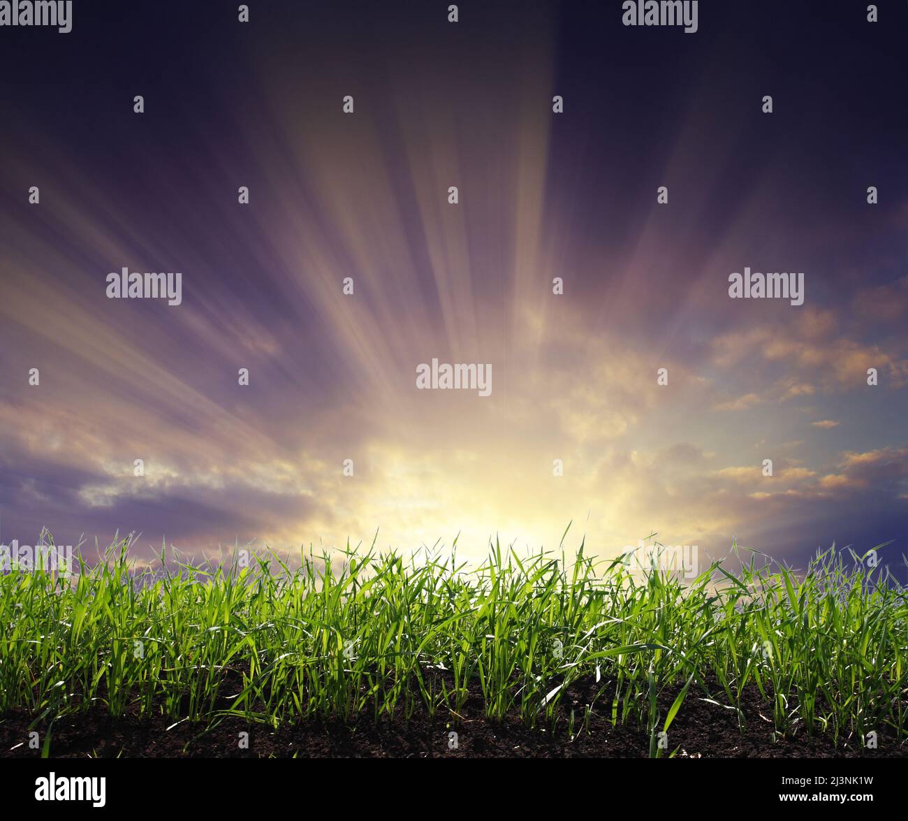 Beautiful landscape under morning sky with clouds Stock Photo - Alamy