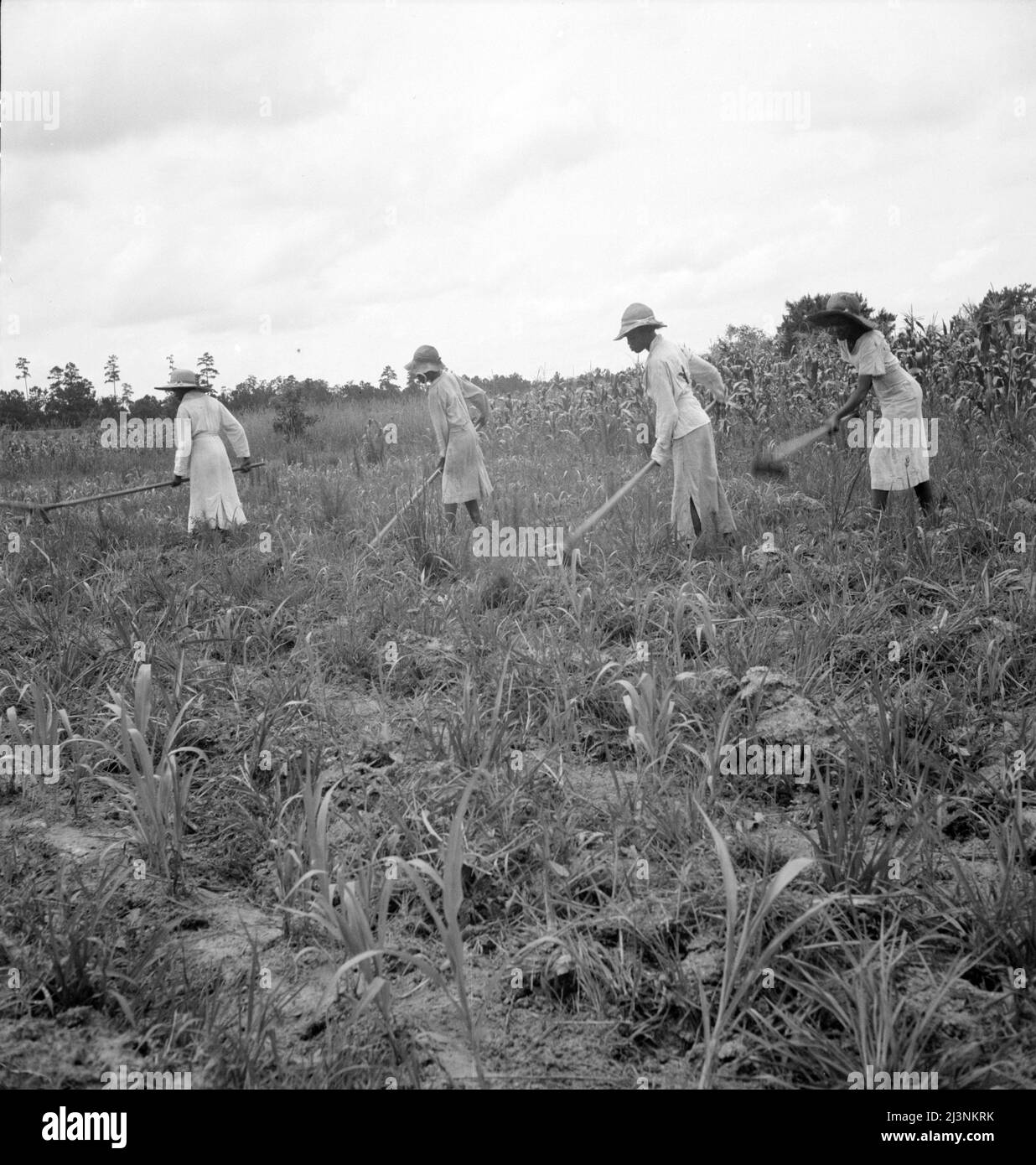 African women farmer hoeing hi-res stock photography and images - Alamy