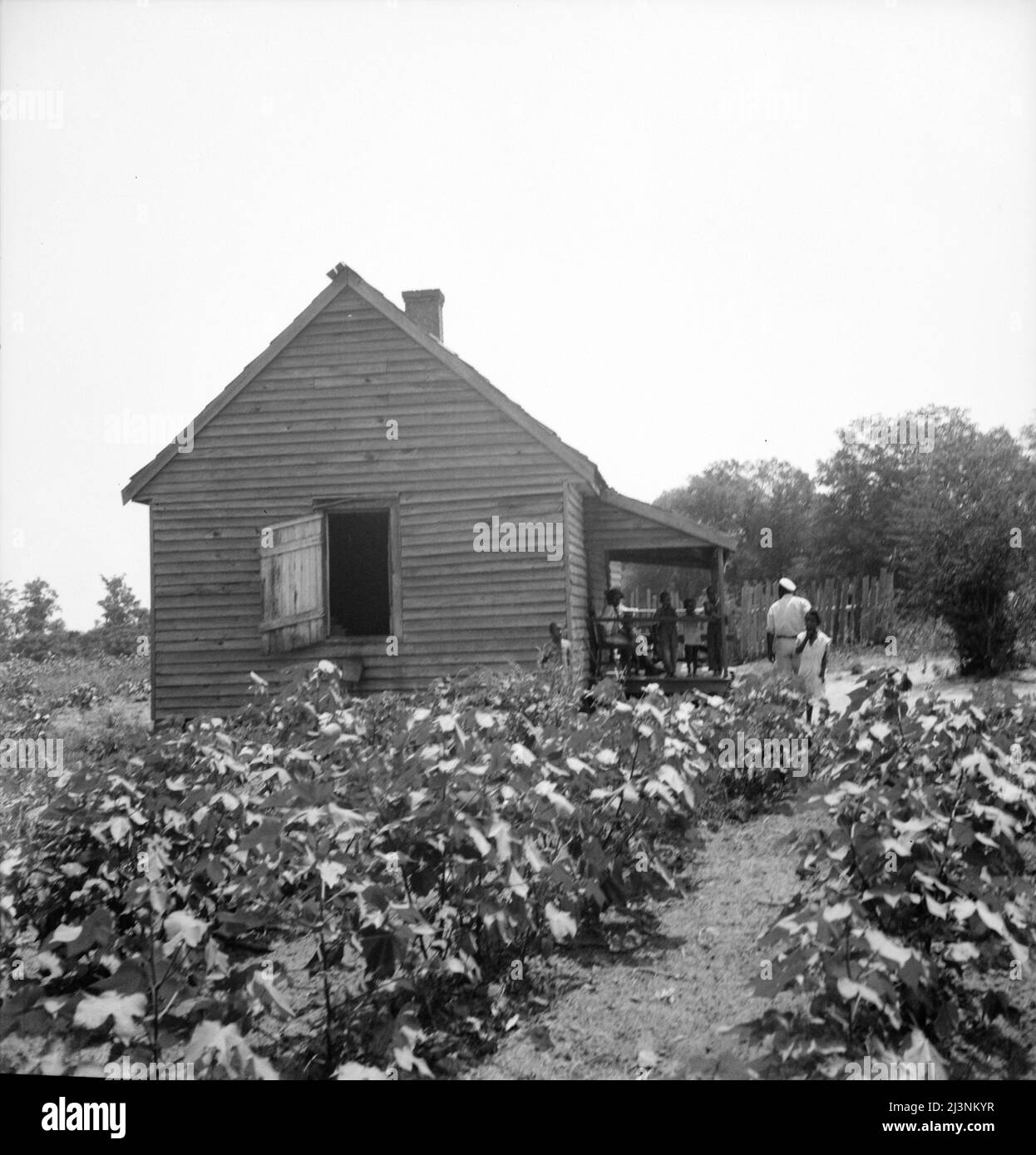 1930s african americans south hi-res stock photography and images - Alamy