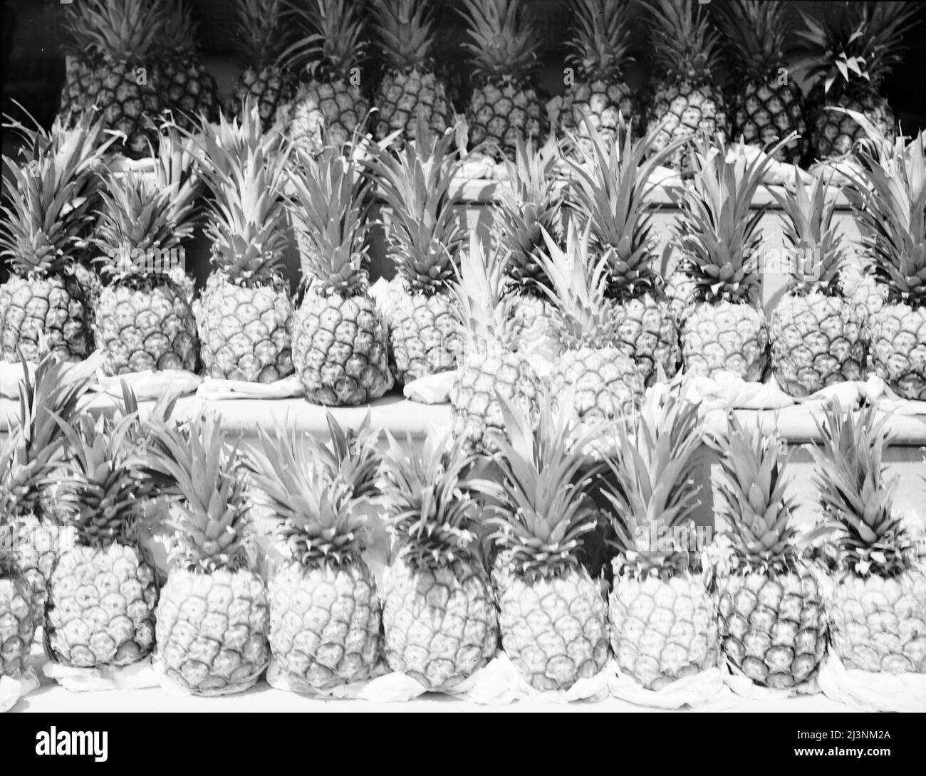 Center Market. Washington, D.C Stock Photo - Alamy