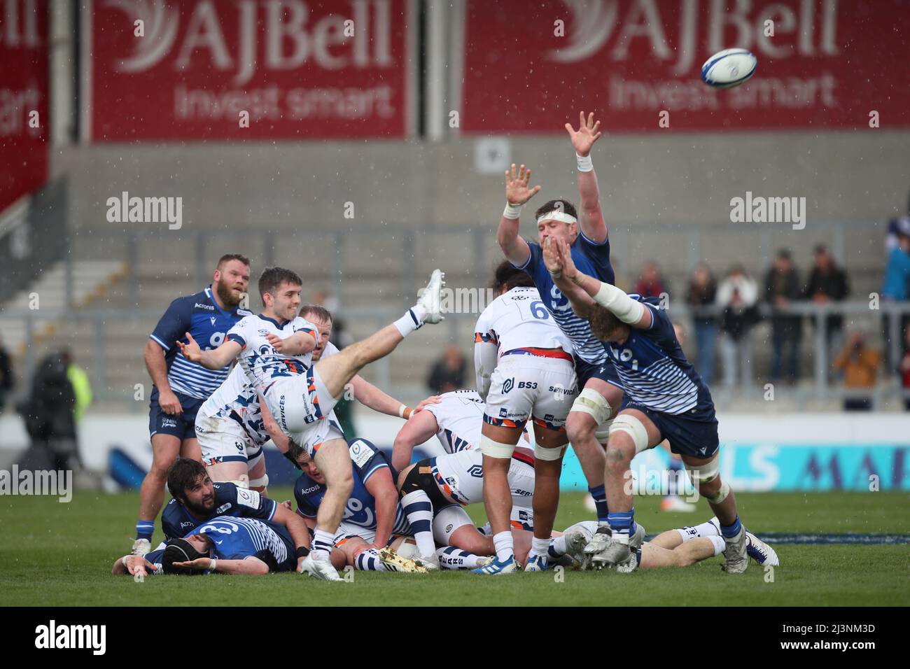 Harry randall rugby hi-res stock photography and images - Alamy