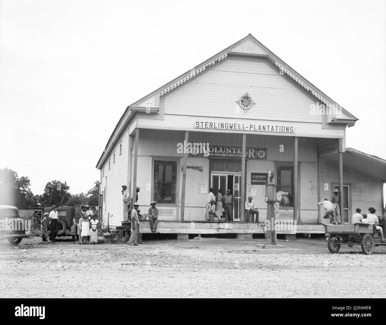 Taylor plantations hi-res stock photography and images - Alamy