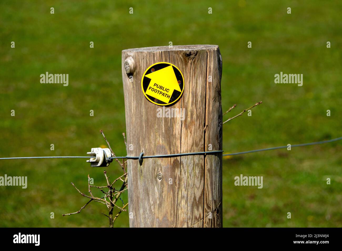Single disc footpath sign with yellow arrow pointing right, mounted on ...