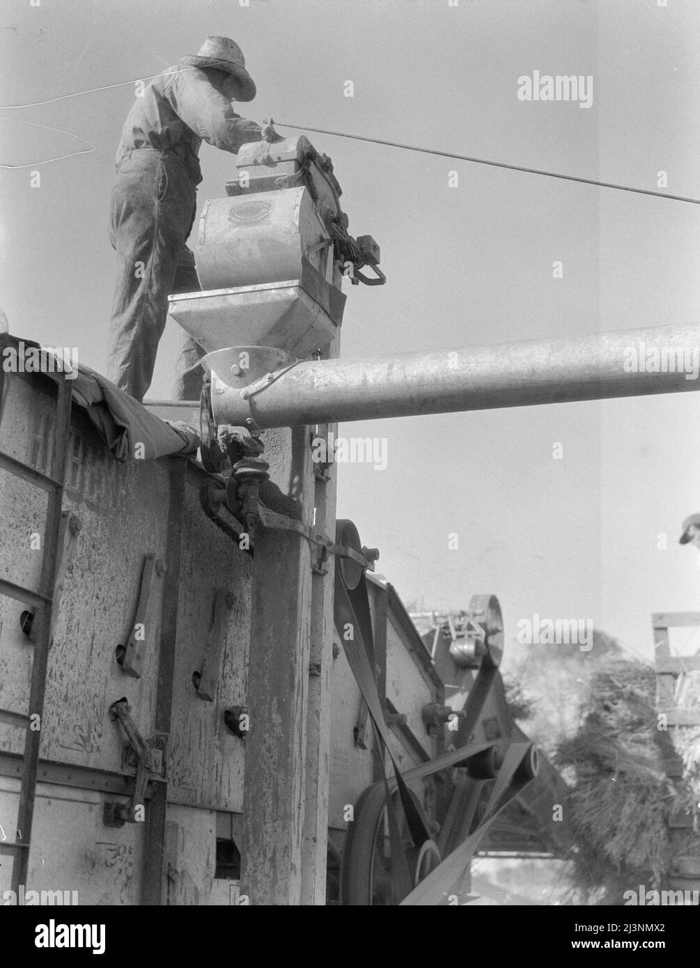 Threshing oats hi-res stock photography and images - Alamy