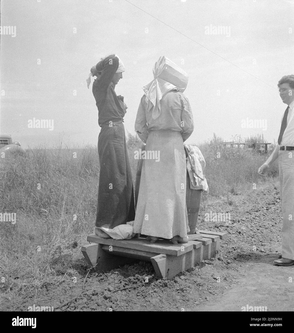 Cotton picking in south Texas Stock Photo - Alamy