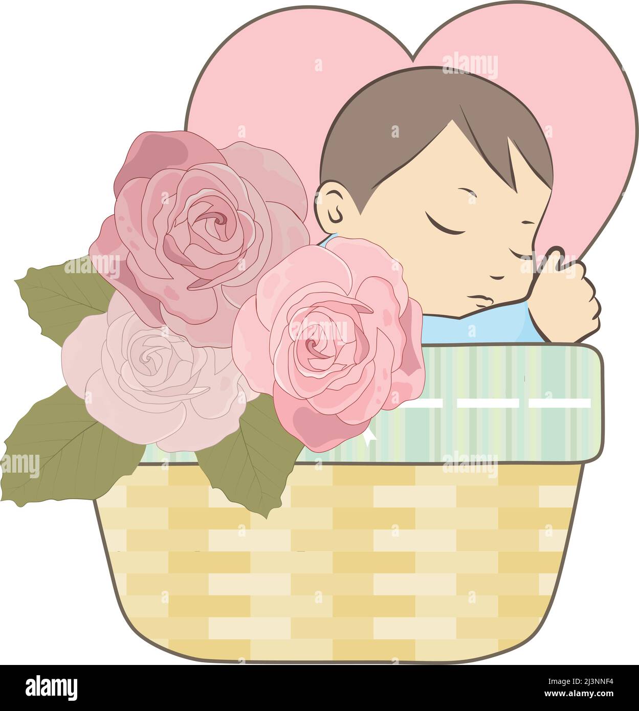 Pink roses baby Cut Out Stock Images & Pictures - Alamy