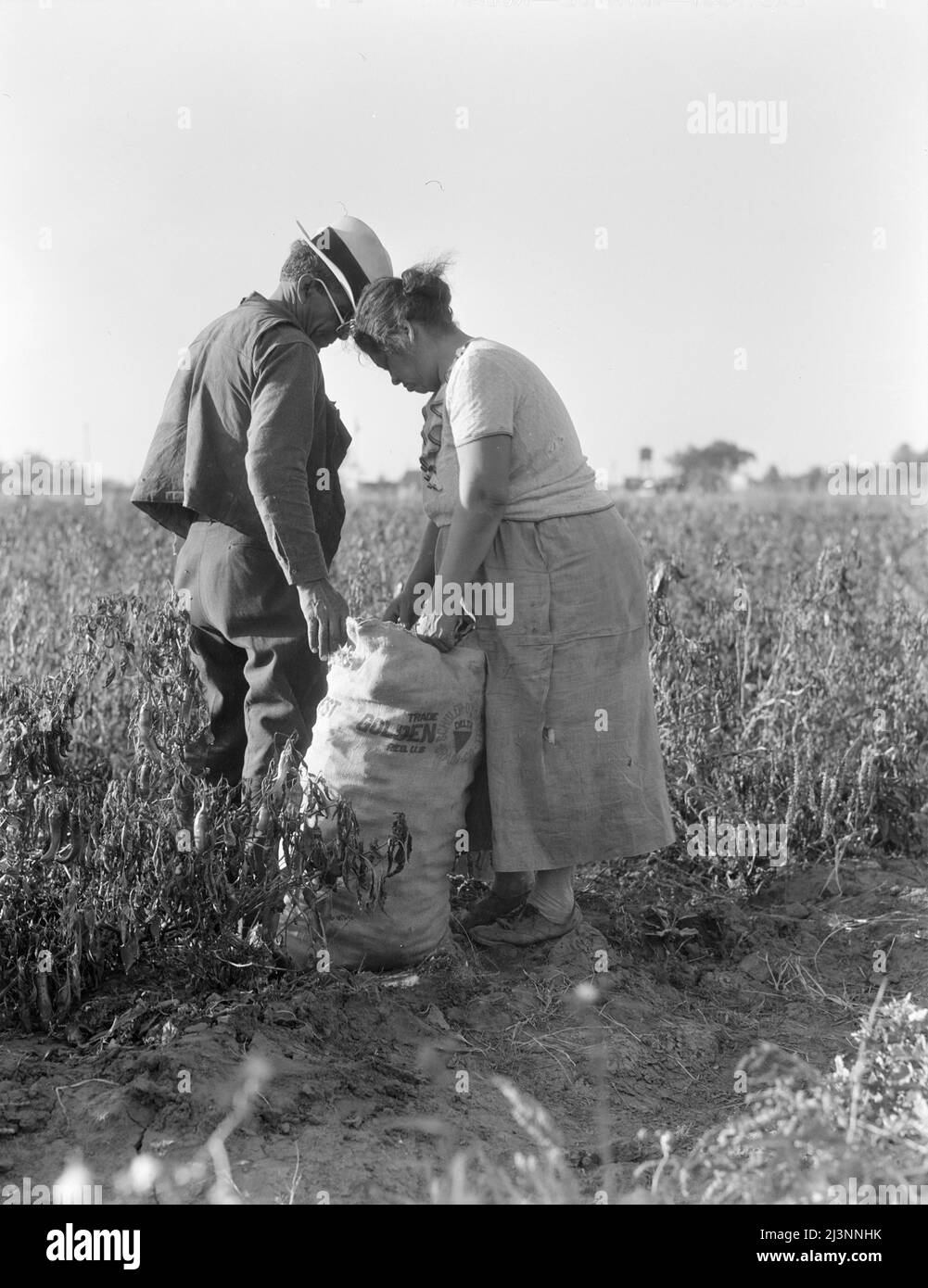 Mexican farm workers california Black and White Stock Photos & Images ...
