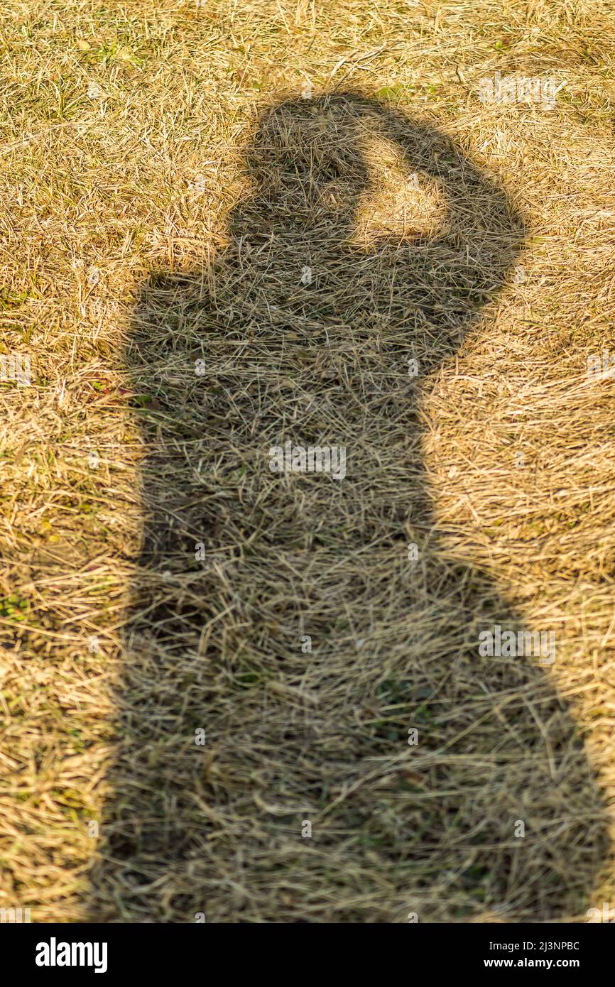 Human shadows hi-res stock photography and images - Alamy