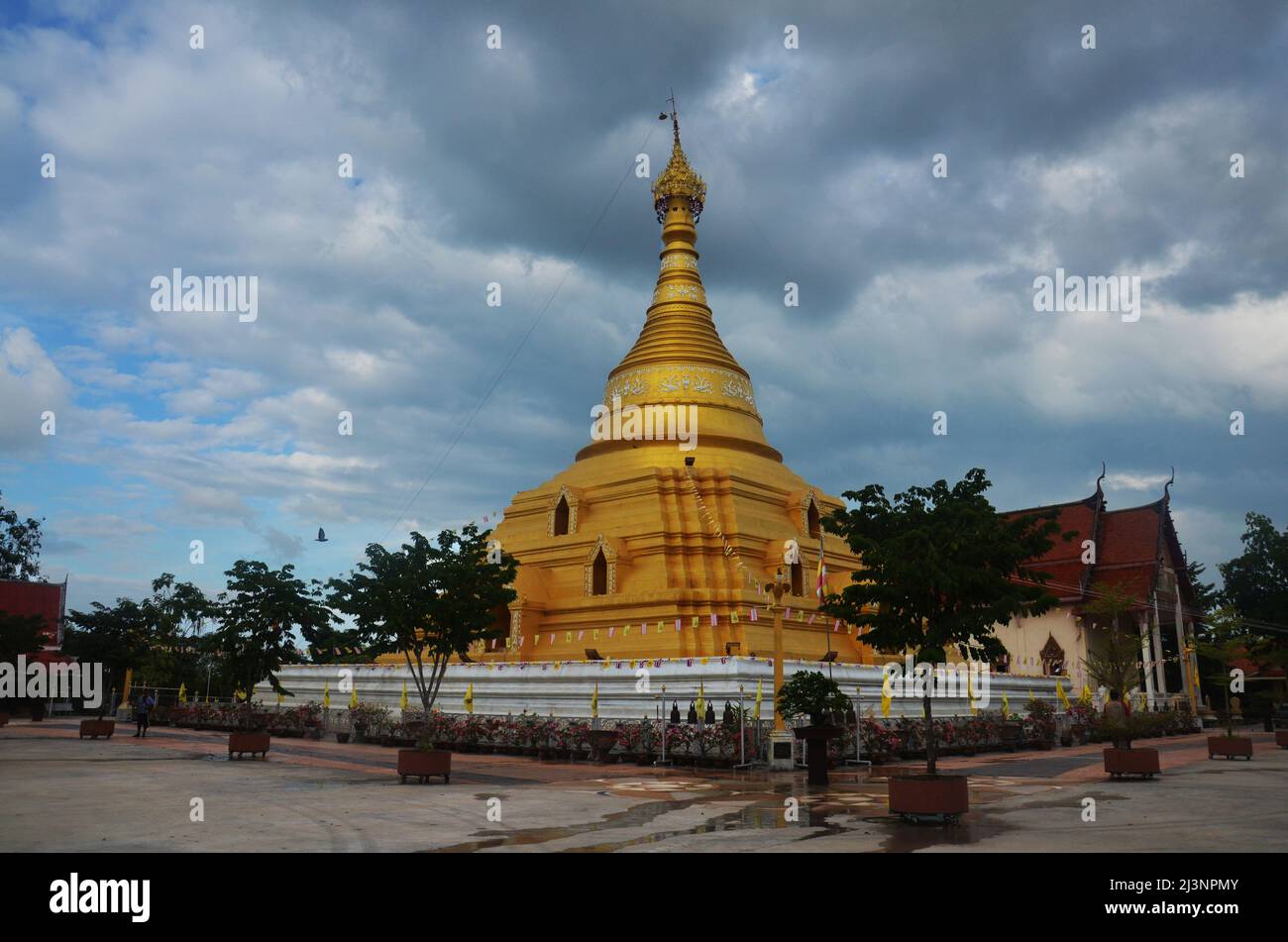 Great golden Phraborommathat Nakhon Chum stupa or big gold Phra Borommathat Jediyaram of ...