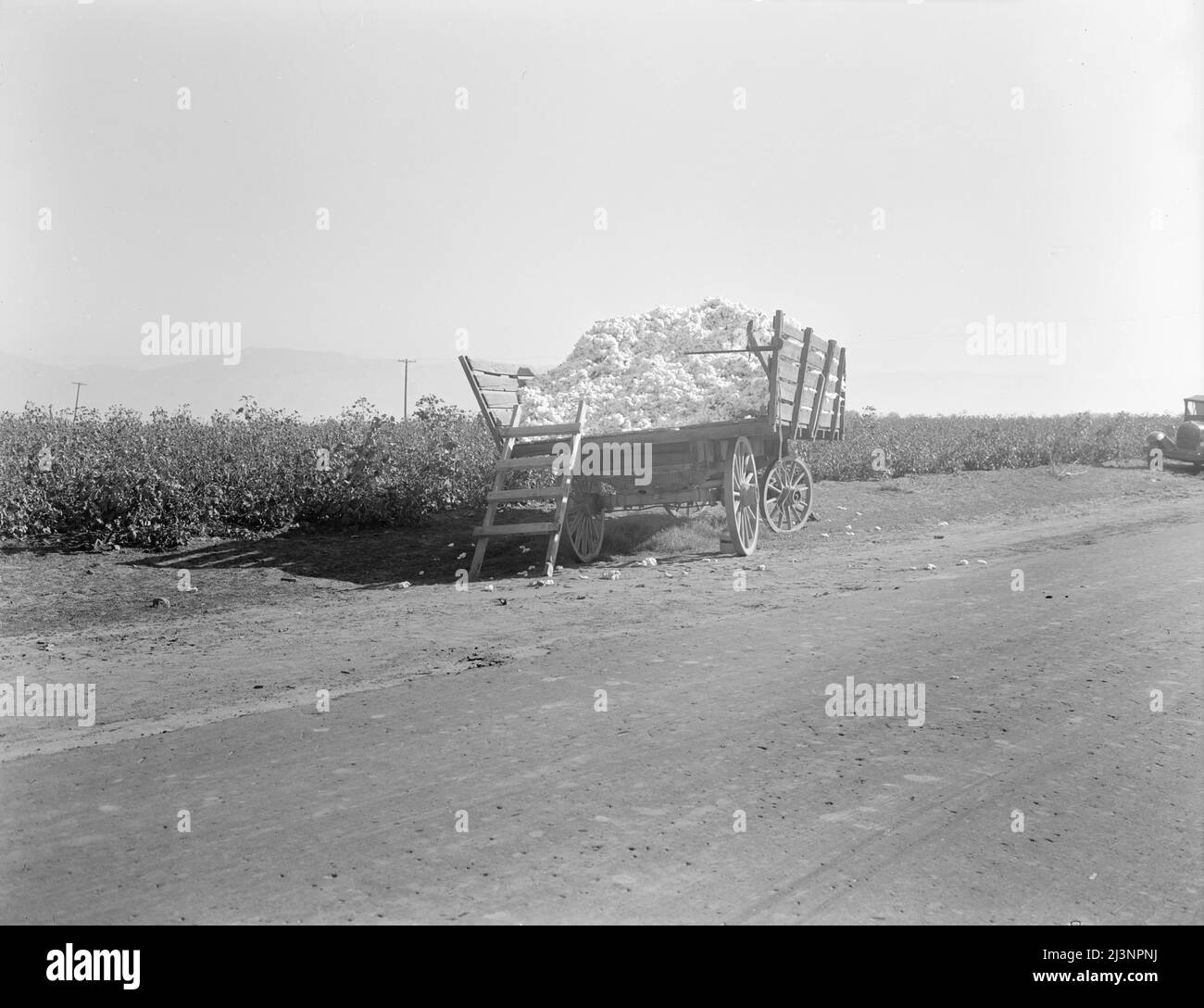 Partially loaded cotton wagon. Southern San Joaquin Valley, California ...