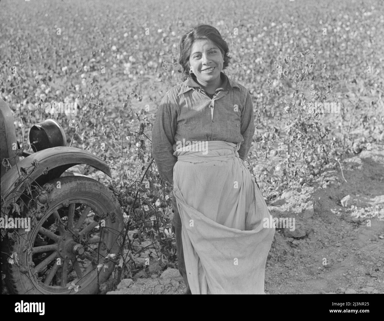 Cotton picker. Southern San Joaquin Valley, California Stock Photo - Alamy