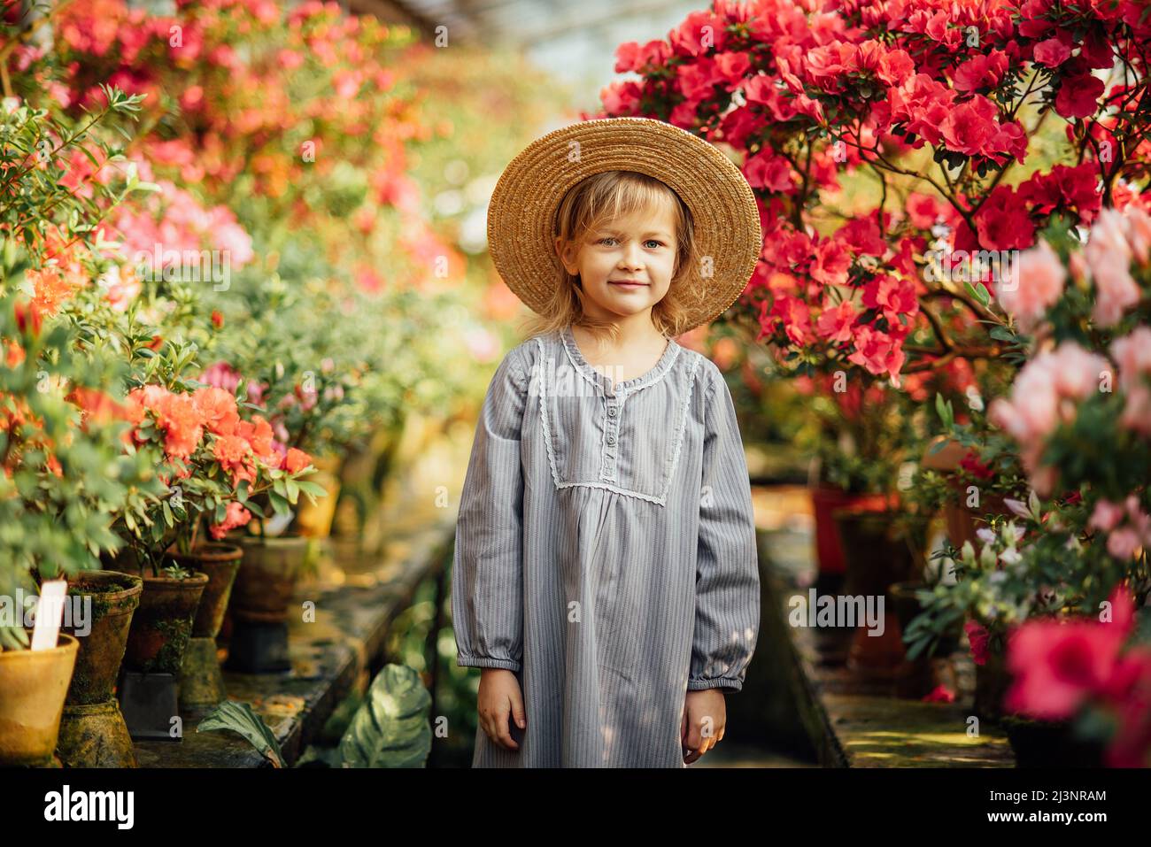 Child planting spring flowers. Little girl gardener plants azalea. Girl ...