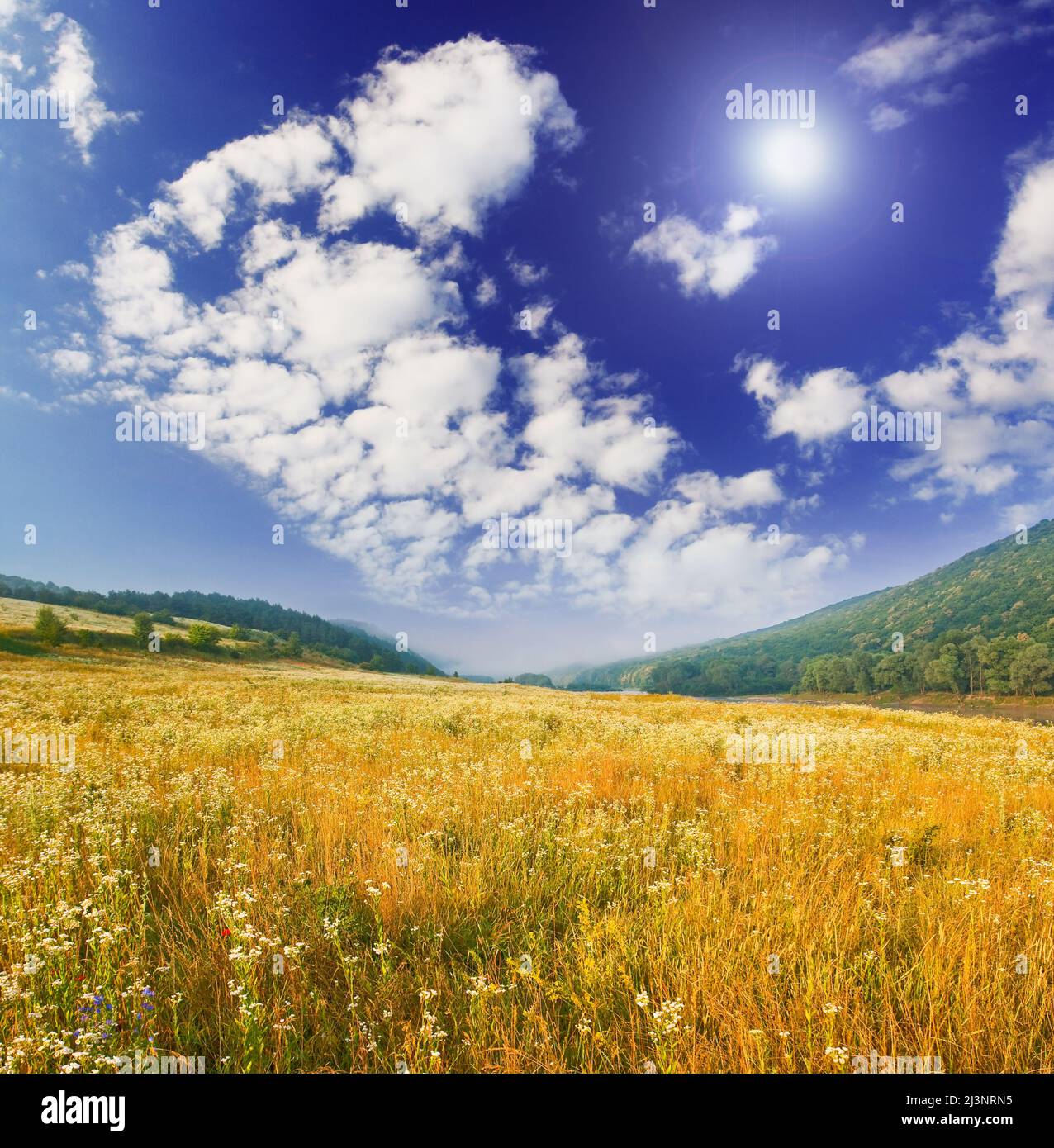 spring field and the beautiful blue sky Stock Photo - Alamy