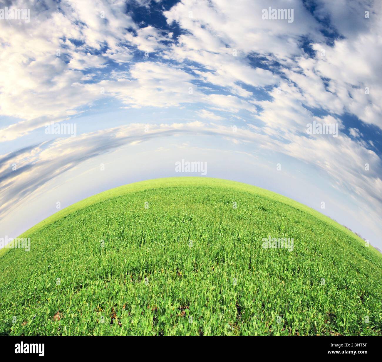 spring field and the beautiful blue sky Stock Photo - Alamy