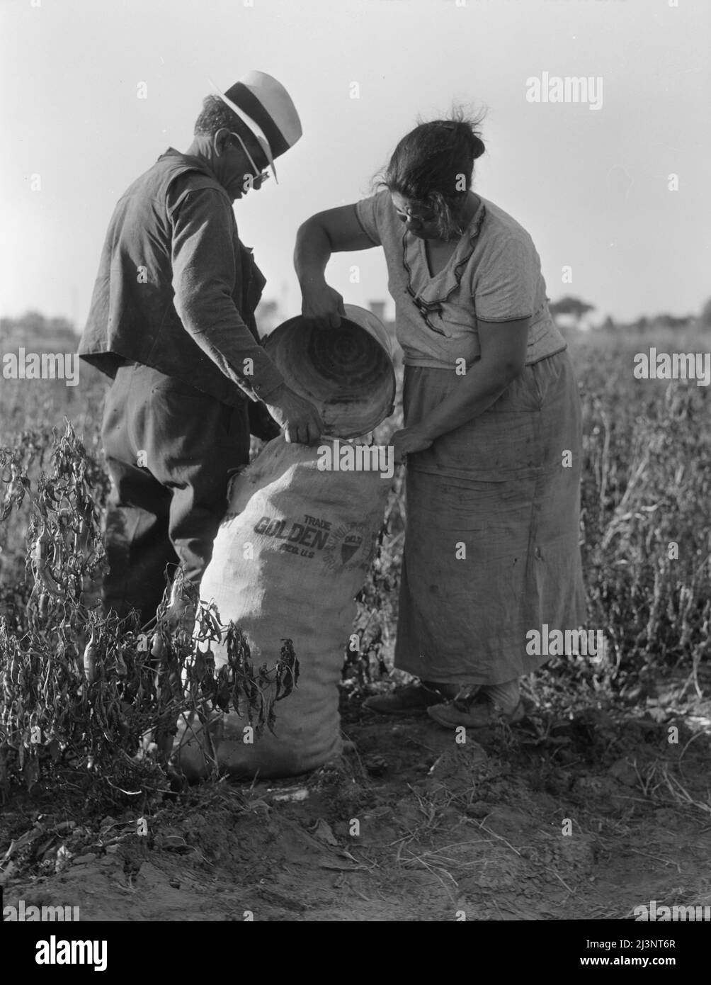 Mexican farm workers california Black and White Stock Photos & Images ...